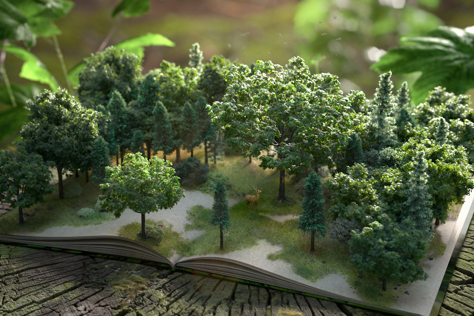 Pocket Forest | HANZOHANZO Designer & Director